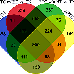 Venn diagram illustrates intersecting and non-intersecting DEG sets ...