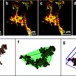 Filtering of 3D dSTORM images using DBSCAN, ROI extraction, graphical ...