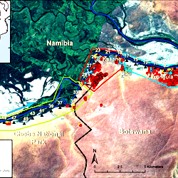 Landsat-based map of the Chobe River study area.