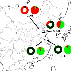 Geographic locations of Chinese chestnut cultivar groups and genetic ...