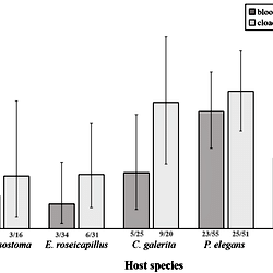Mean BFDV prevalence (% of total individuals tested) ± 95% confidence ...
