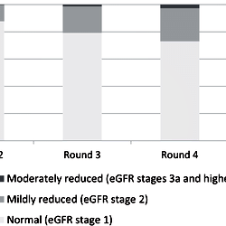 Prevalence of the various eGFR stages during the various screening rounds.