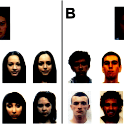 Example one-to-eight face matching arrays used to simulate FR ...
