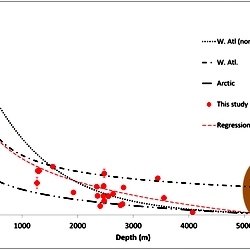 Sediment oxygen uptake plotted as a function of water depth.