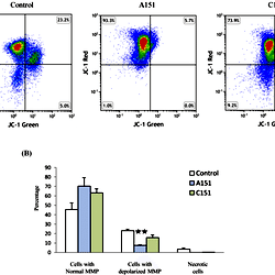 A151 reduced depolarization of mitochondrial membrane potential (MMP ...