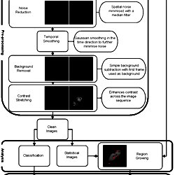 Overview of the image analysis workflow.