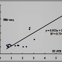Validation of RNA-seq results by quantitative real time RT-PCR.