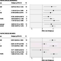 Meta-analysis forest plots.