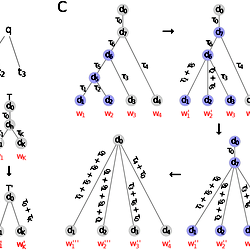 Iterative scheme for computing weights for templates by transforming ...