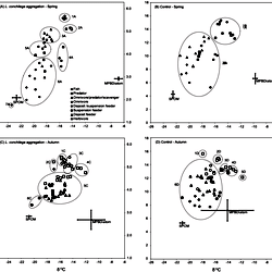 Stable isotope biplot for the bay of the Mont Saint-Michel (BMSM).