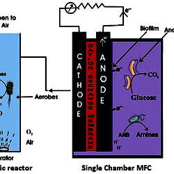 Schematic diagram of the reactor assembly (SMFC coupled with aerobic ...