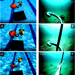 Retrieval technique.