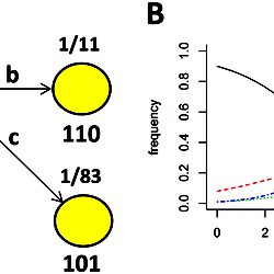 Item - Example of an escape graph generated by sampling the virus ...