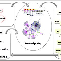 Bioinformatics framework for knowledge integration and construction of ...
