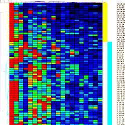 Hierarchical-clustering heat-map of the relative abundance of the 20 ...