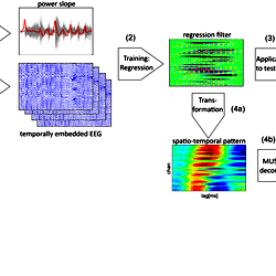 EEG feature extraction.