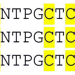 The sequence alignment of KB1, GA763 and GA190.