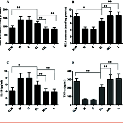 Item - Analysis of SOD activities (A), MDA contents (B) in the renal ...