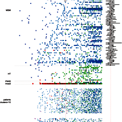 Large transmission clusters over time: risk group of infection.