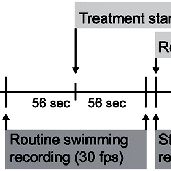 Experimental timeline.