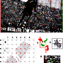 Systematic quadrat sampling and unbiased counting rule to estimate ...