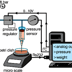 Experimental capillary rheometer setup.