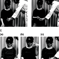 Procedure of the thumb localizing test (TLT).