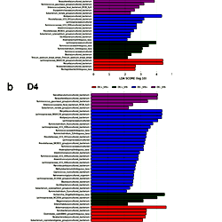 LEfSe analysis at early timepoints.