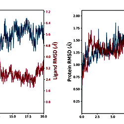 RMSD analysis of MD simulation trajectory.