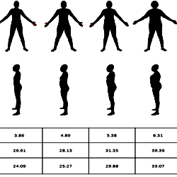 Female Body Size Scale.