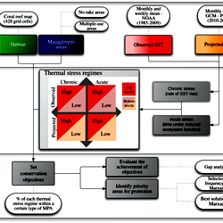 Methods of this paper divided into three major phases.