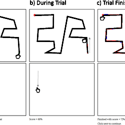 Online Mirror Tracing Task.