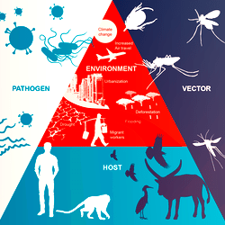The pathogen–host–vector–environment interface representing the many ...