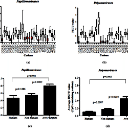 Relative synonymous codon usage (RSCU) values of CpG-containing codons.