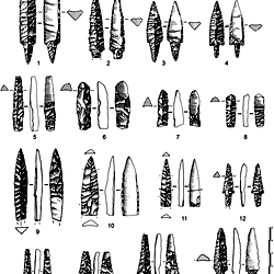 Various types of fluted points from Yemen and Oman.