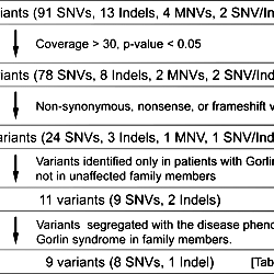 Flow chart indicating the validation process for variants.