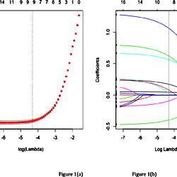 Texture feature selection using the least absolute shrinkage and ...