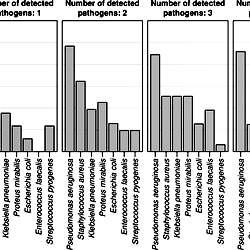 Pathogen distribution in mono- and polymicrobial bacterial wound infection.