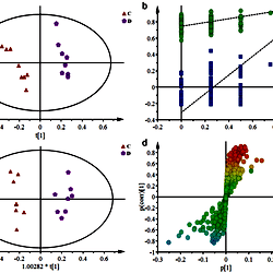 PCA scores plot (a), PLS-DA permutation test (b), OPLS-DA scores plot ...