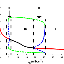 A horizontal slice from Fig 8.