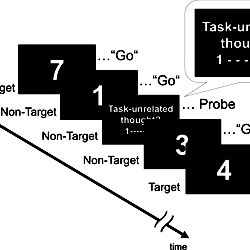 Illustration of experience sampling with sustained attention response task.