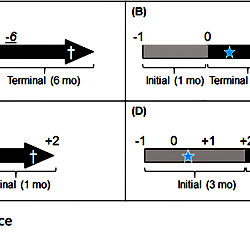 Definitions of the initial, continuing, and terminal phases.