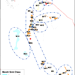 Range map of the Amargosa vole.