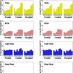 Histograms of links strength in the brain-heart network during ...