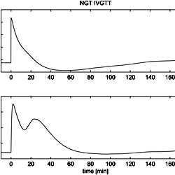 IVGTT experiment for an NGT patient.