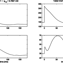 IVGTT experiment for an T2DM patient.