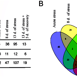 Summary of microarray data.
