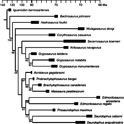 Time-calibrated cladogram of hadrosaurines based on Prieto-Márquez [29].