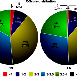 Pie chart representing R-score distribution of all the enriched ...