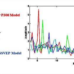 Electrode placement and SSVEP signal spectrum.